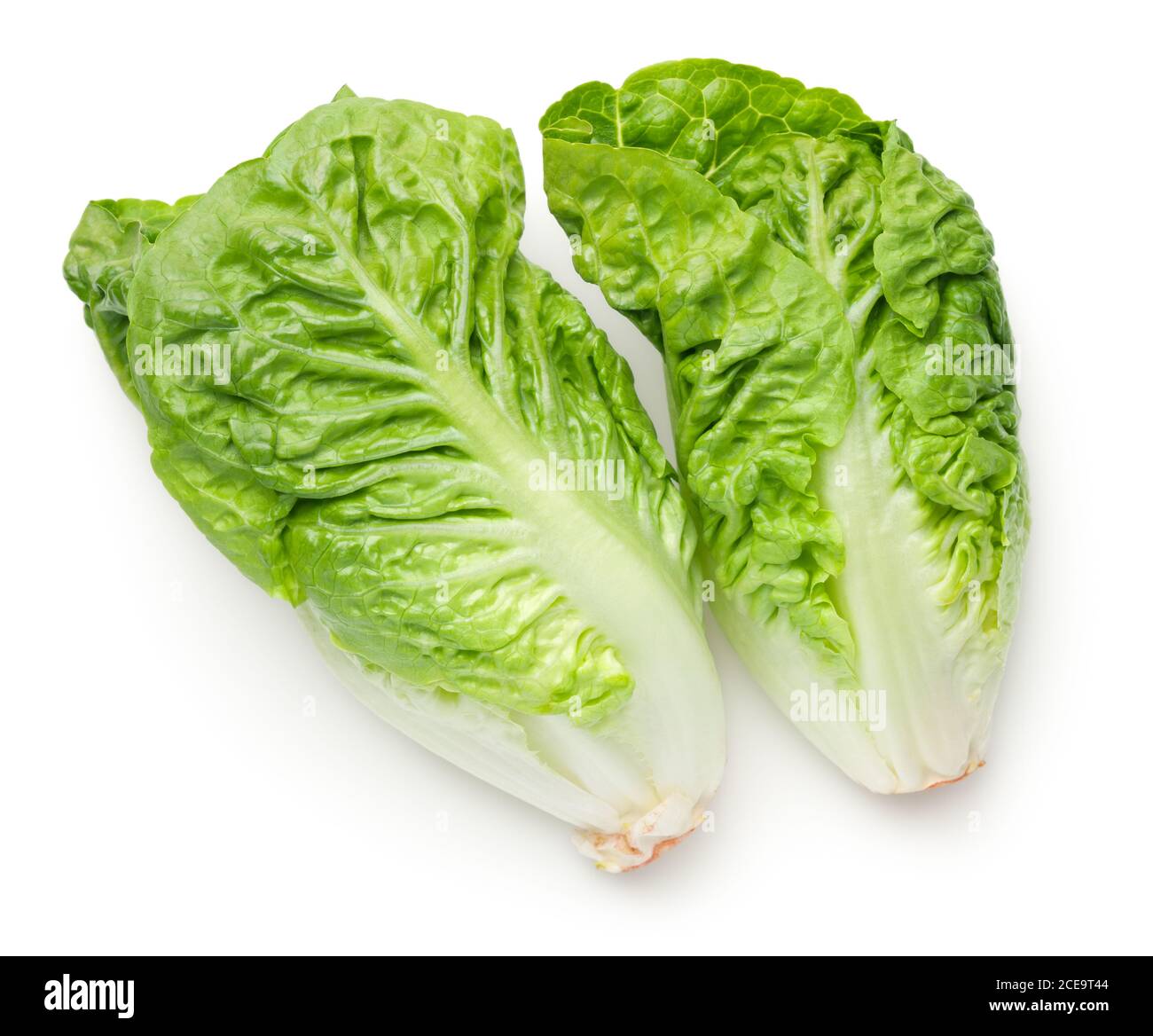 Romaine lettuce white hi-res stock photography and images - Alamy