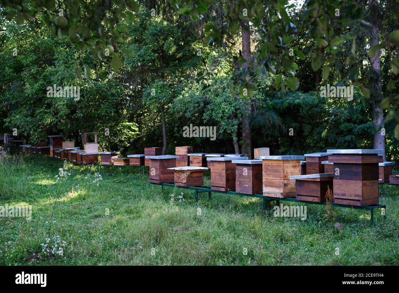 Small farm under trees hi-res stock photography and images - Alamy