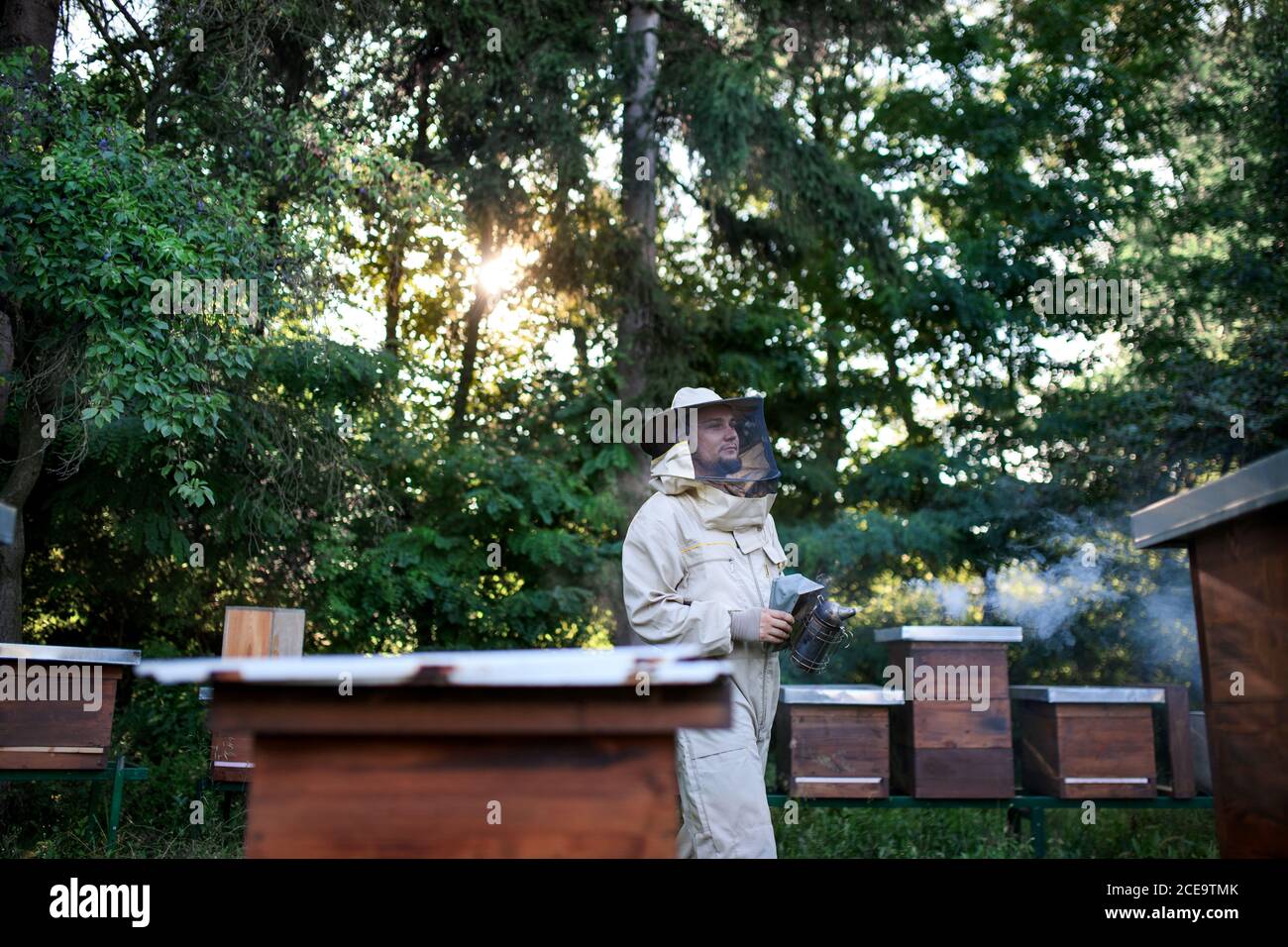 Using hive tool beekeeper hi-res stock photography and images - Alamy
