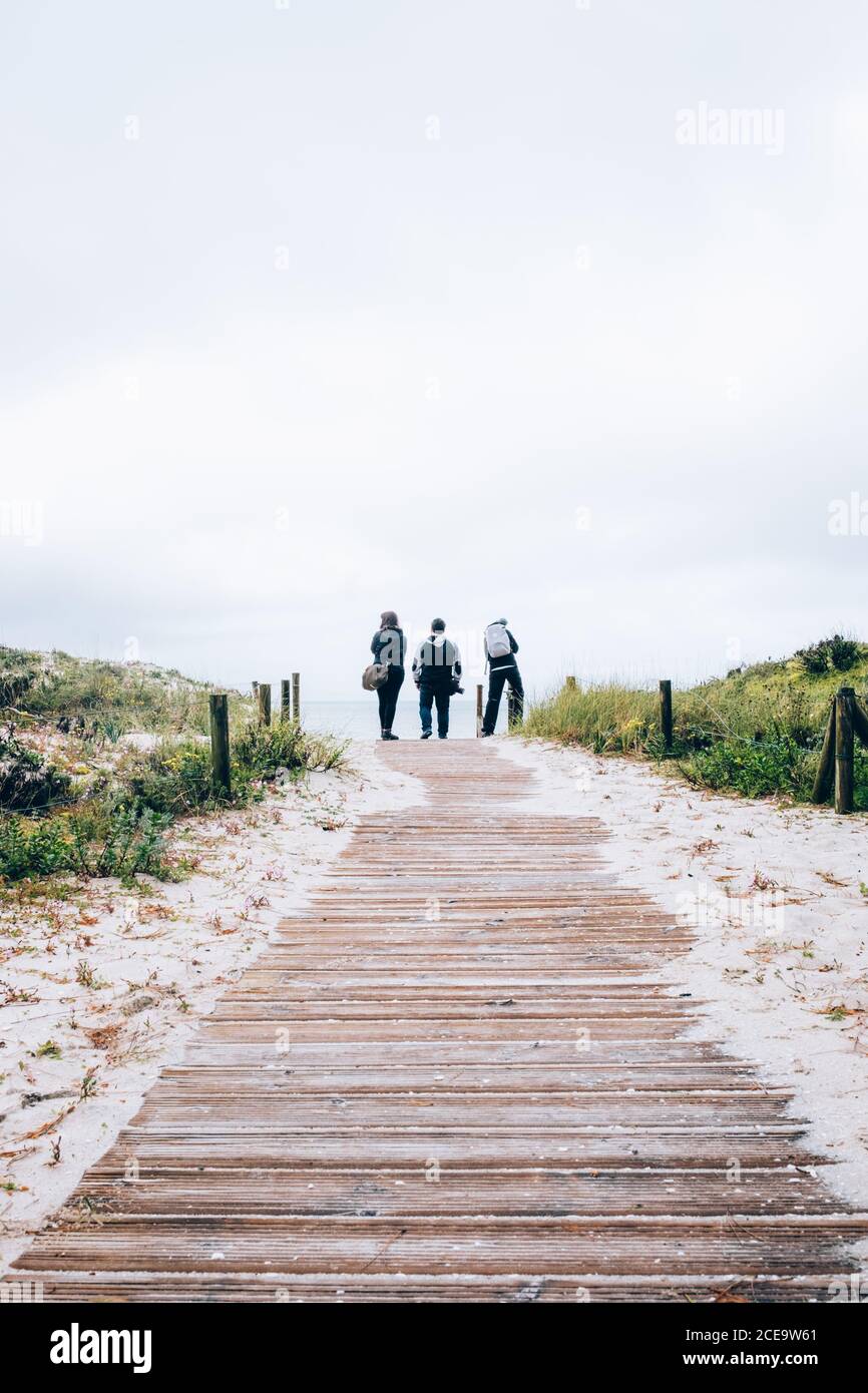 Back view of three people standing on a path and looking at the ocean ...