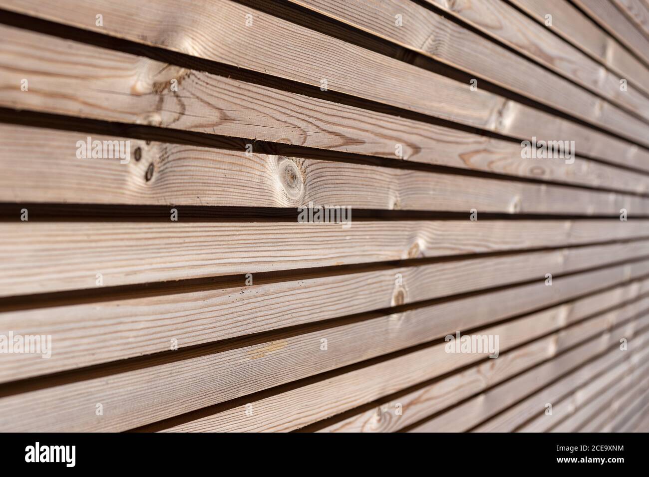 Close up of Wood paneling background texture. Modern ecological wooden ...