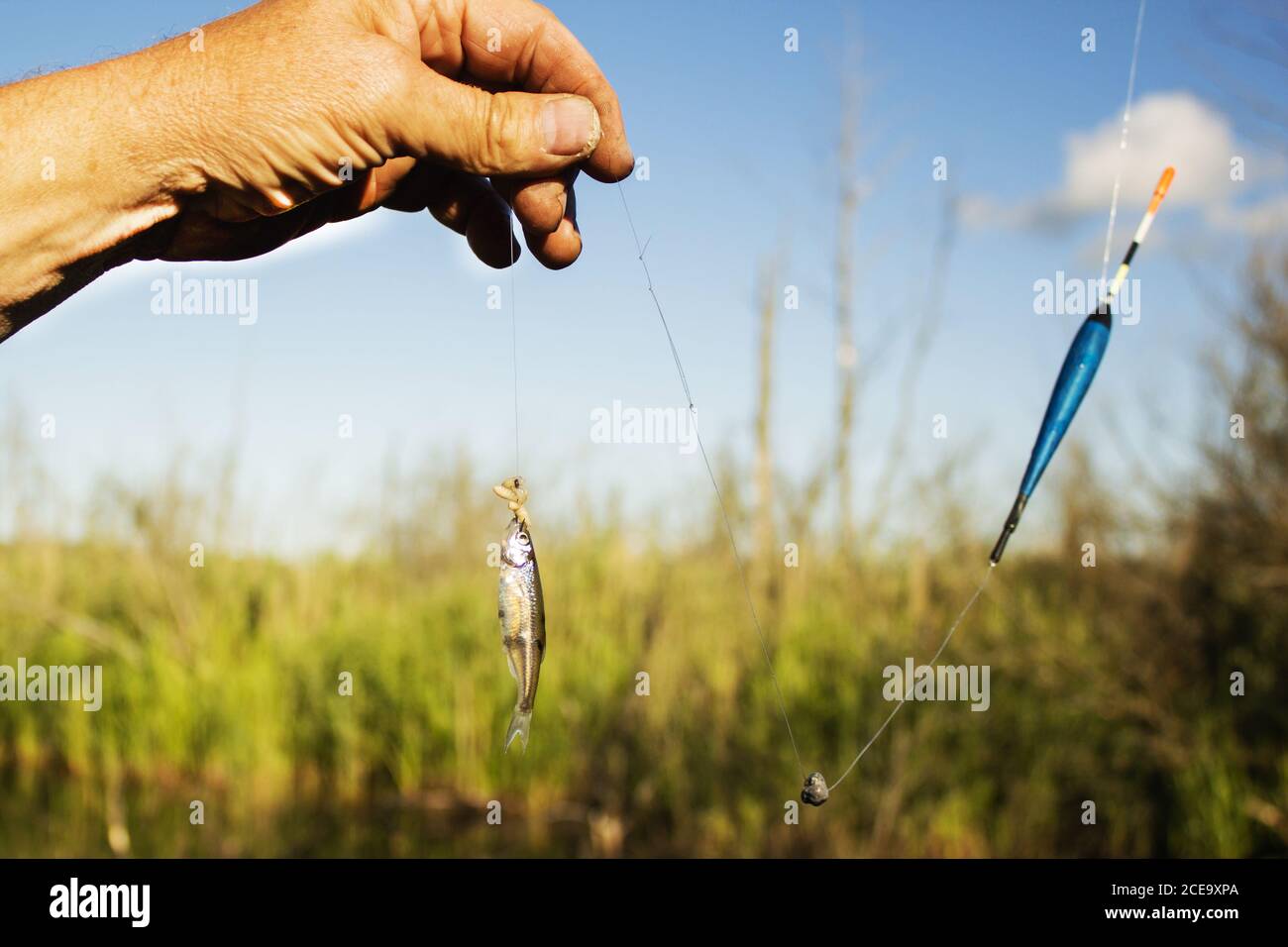 Big fish small fish hi-res stock photography and images - Alamy