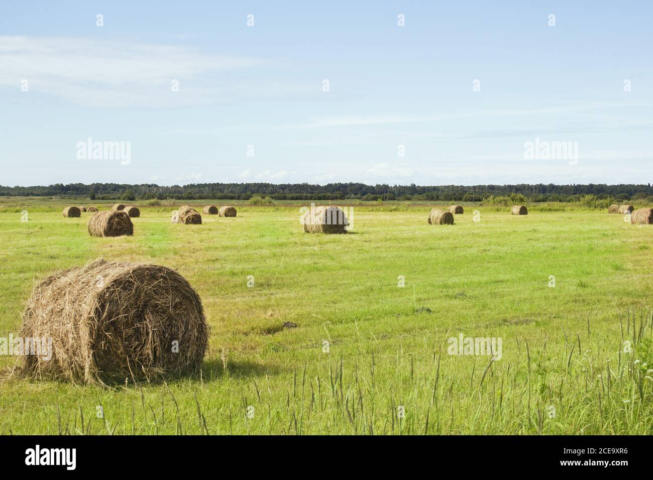 Harvesting hayloft hi-res stock photography and images - Alamy