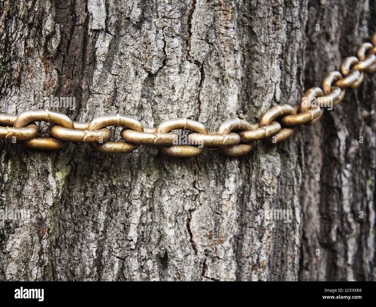 Old fashion apple hi-res stock photography and images - Alamy