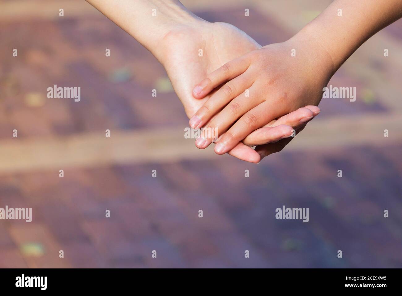 Giving nature a helping hand hi-res stock photography and images - Alamy