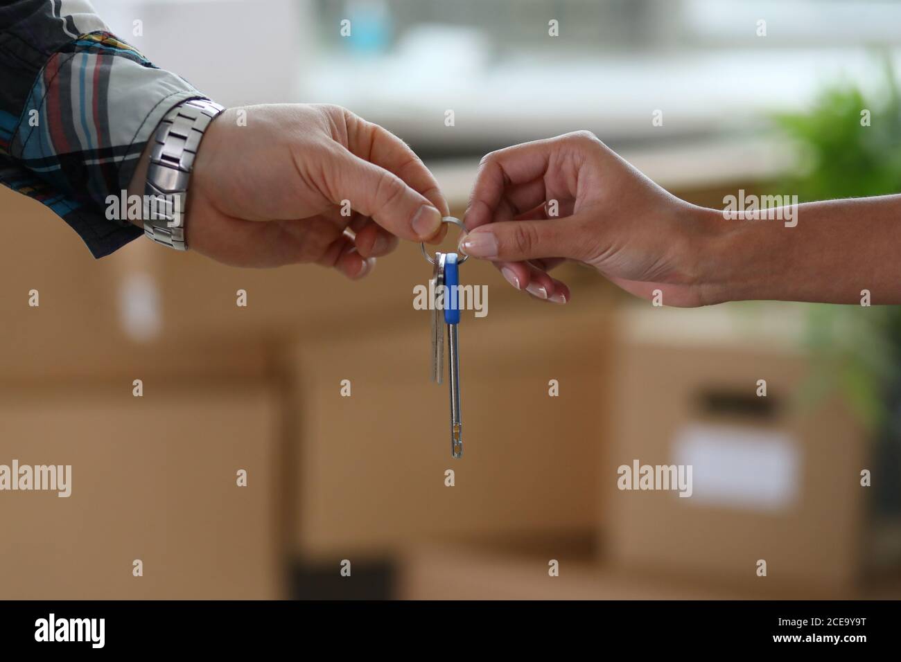 Male hand give key to female hand on background of box Stock Photo - Alamy