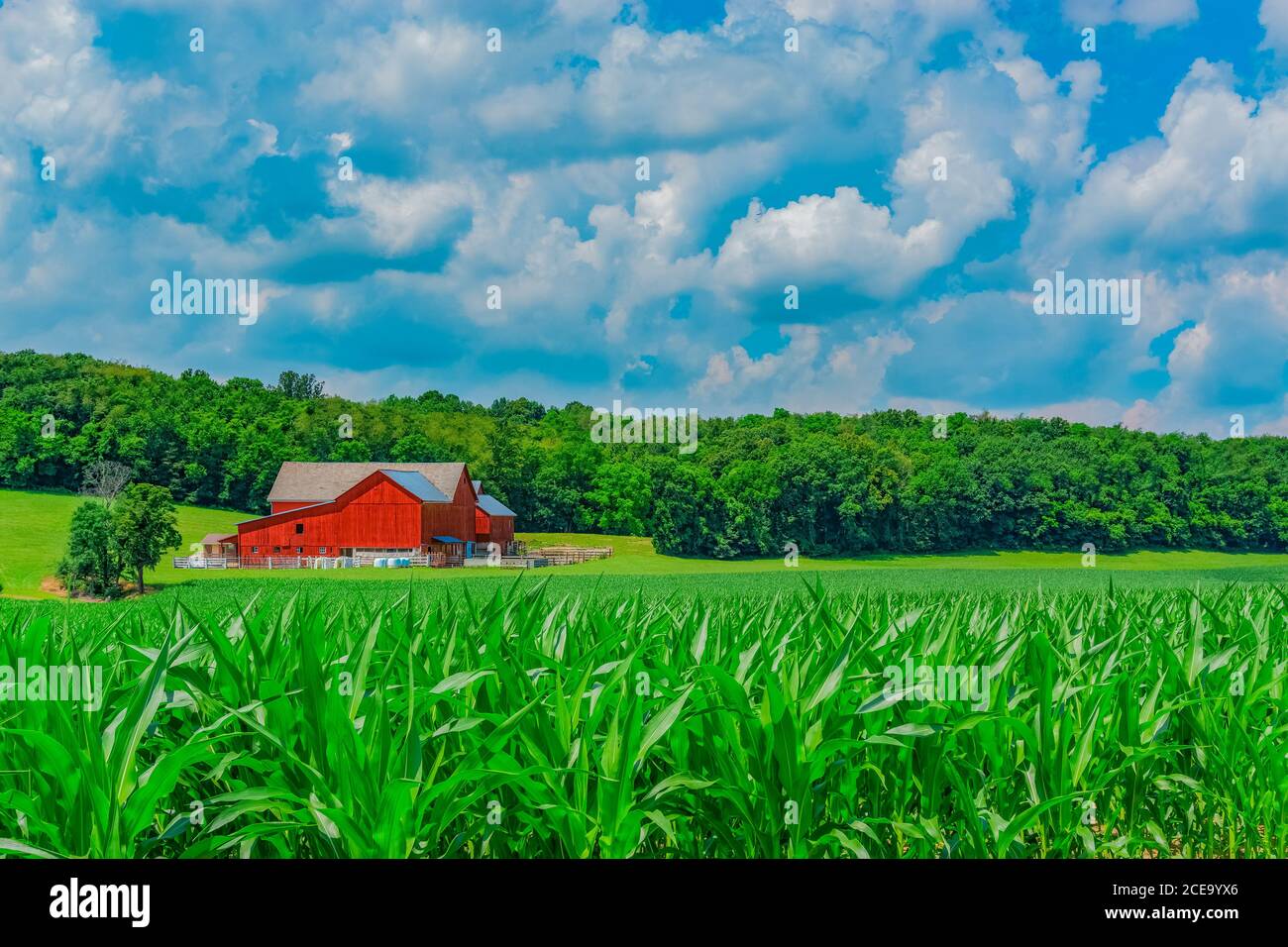 Red barn with corn hi-res stock photography and images - Alamy