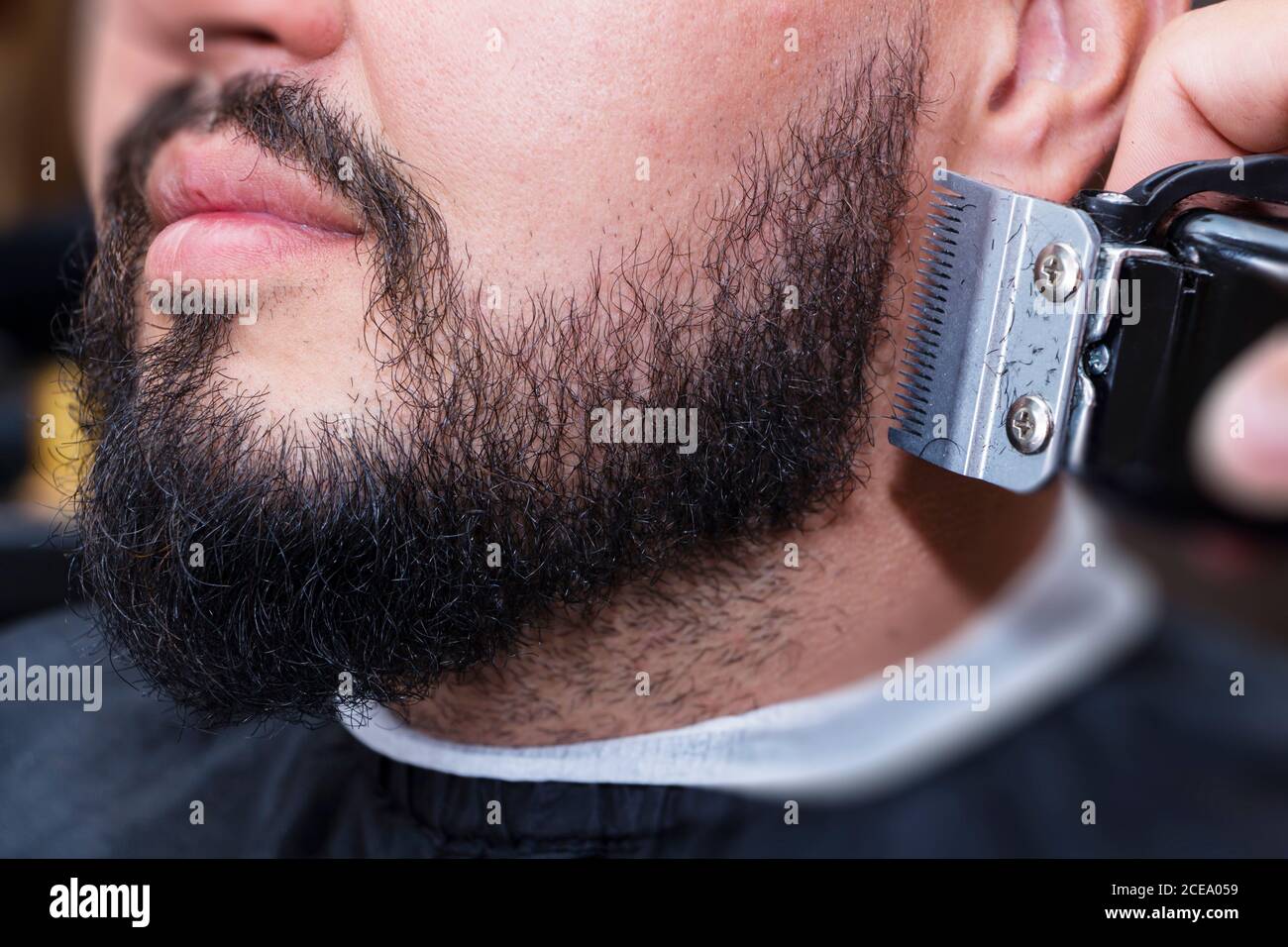 Beard styling and cut. Close up cropped photo of a styling of a red ...