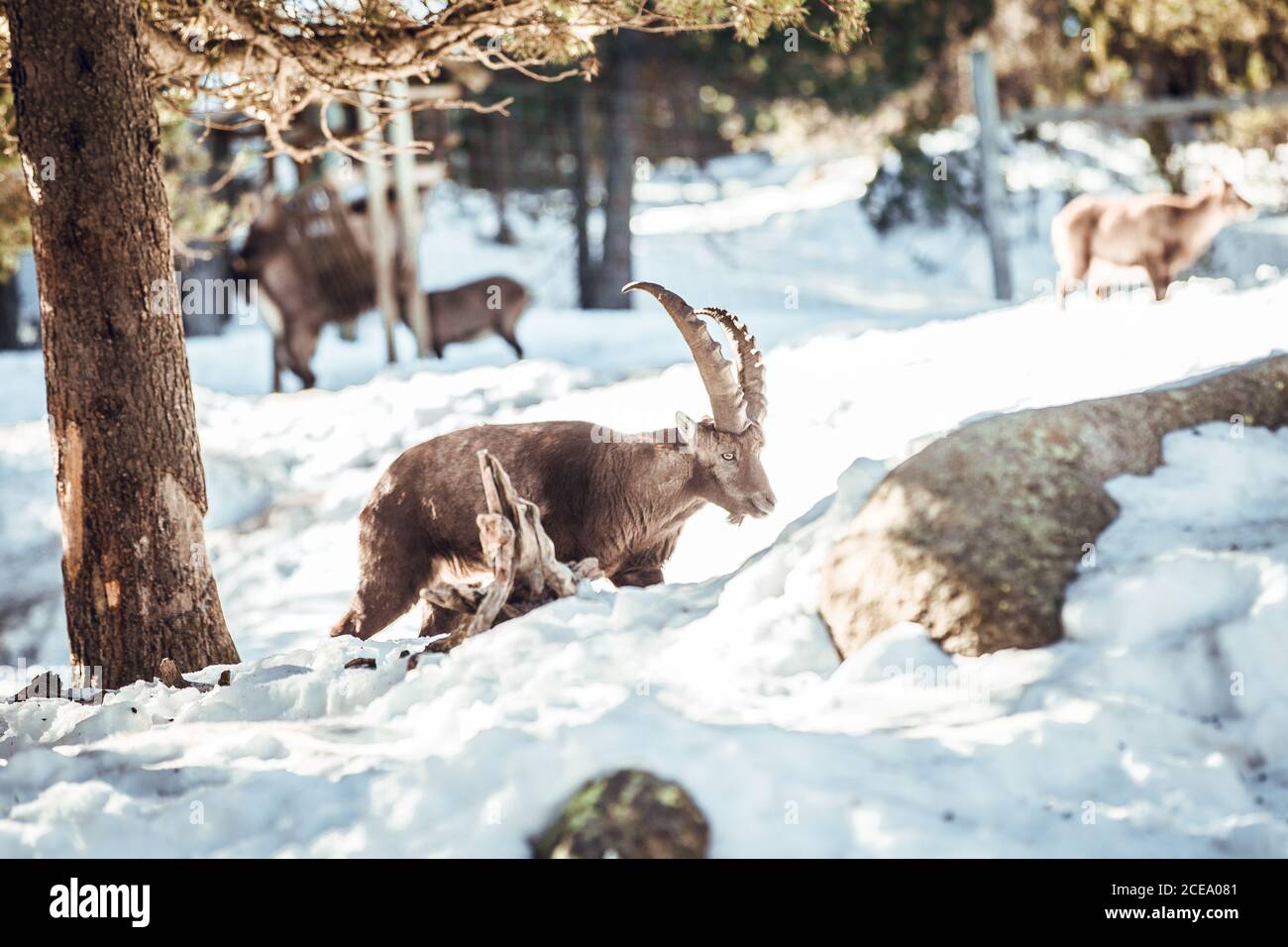 Les angles hi-res stock photography and images - Alamy