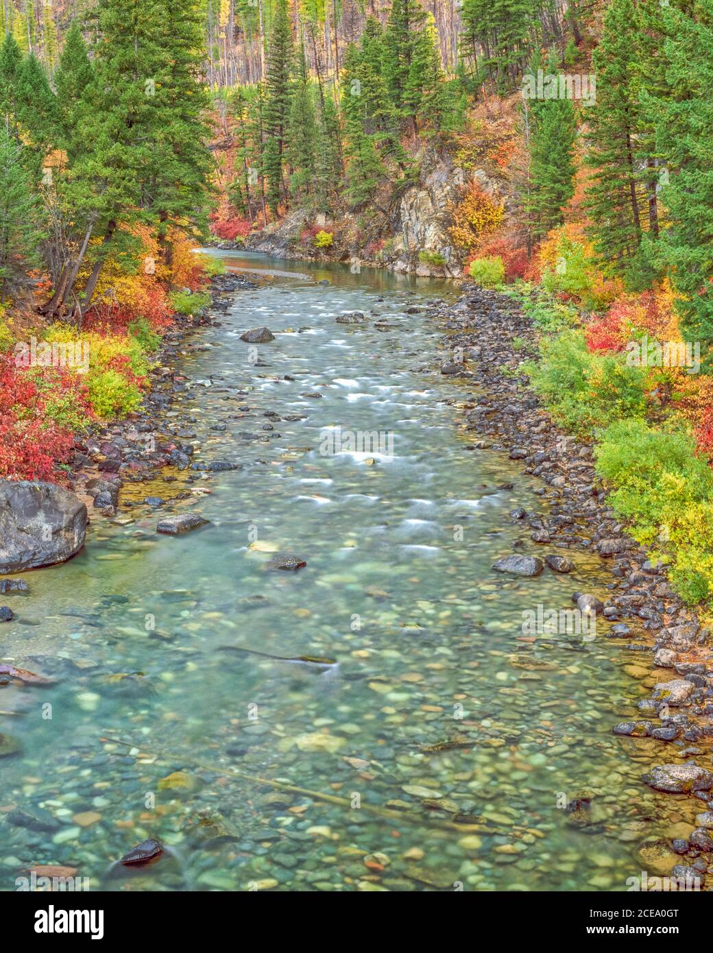 fall colors along the north fork blackfoot river near ovando, montana ...