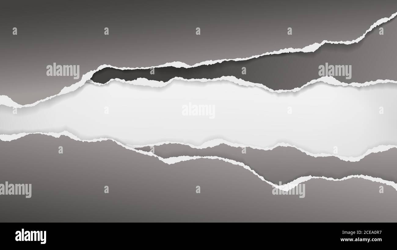 Pieces of torn, ripped dark grey paper with soft shadow are on white ...