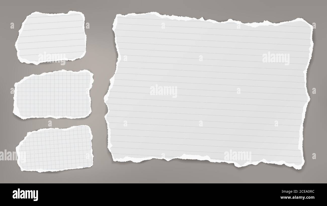 Torn of white note, notebook paper strips and pieces stuck on grey ...