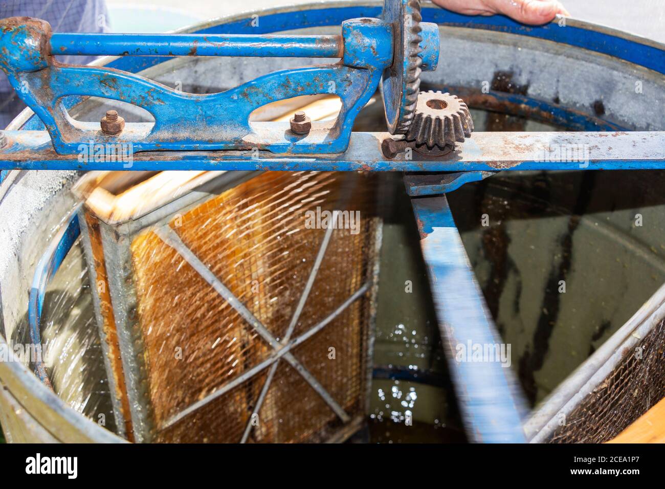 The production of honey from the honeycomb. natural honey dripping. An ...