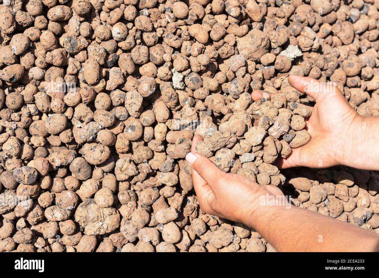 Construction of expanded clay, expanded clay in the hand of the worker ...