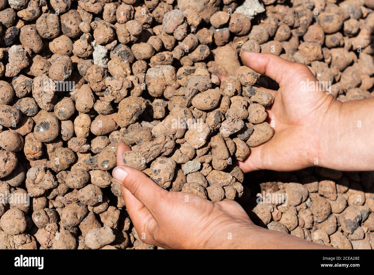 Construction of expanded clay, expanded clay in the hand of the worker ...