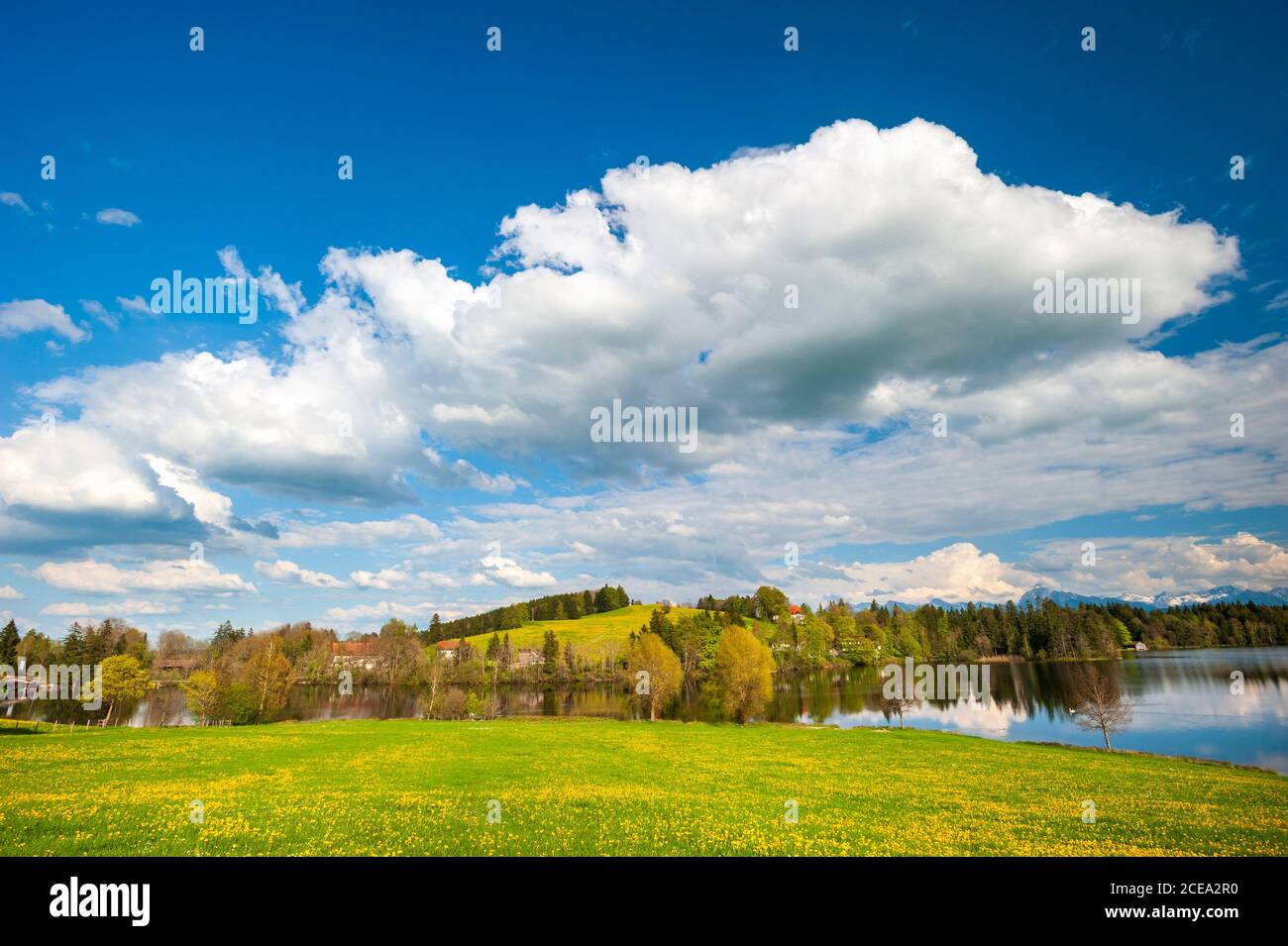 beautiful panoramic landscape in Bavaria Stock Photo - Alamy