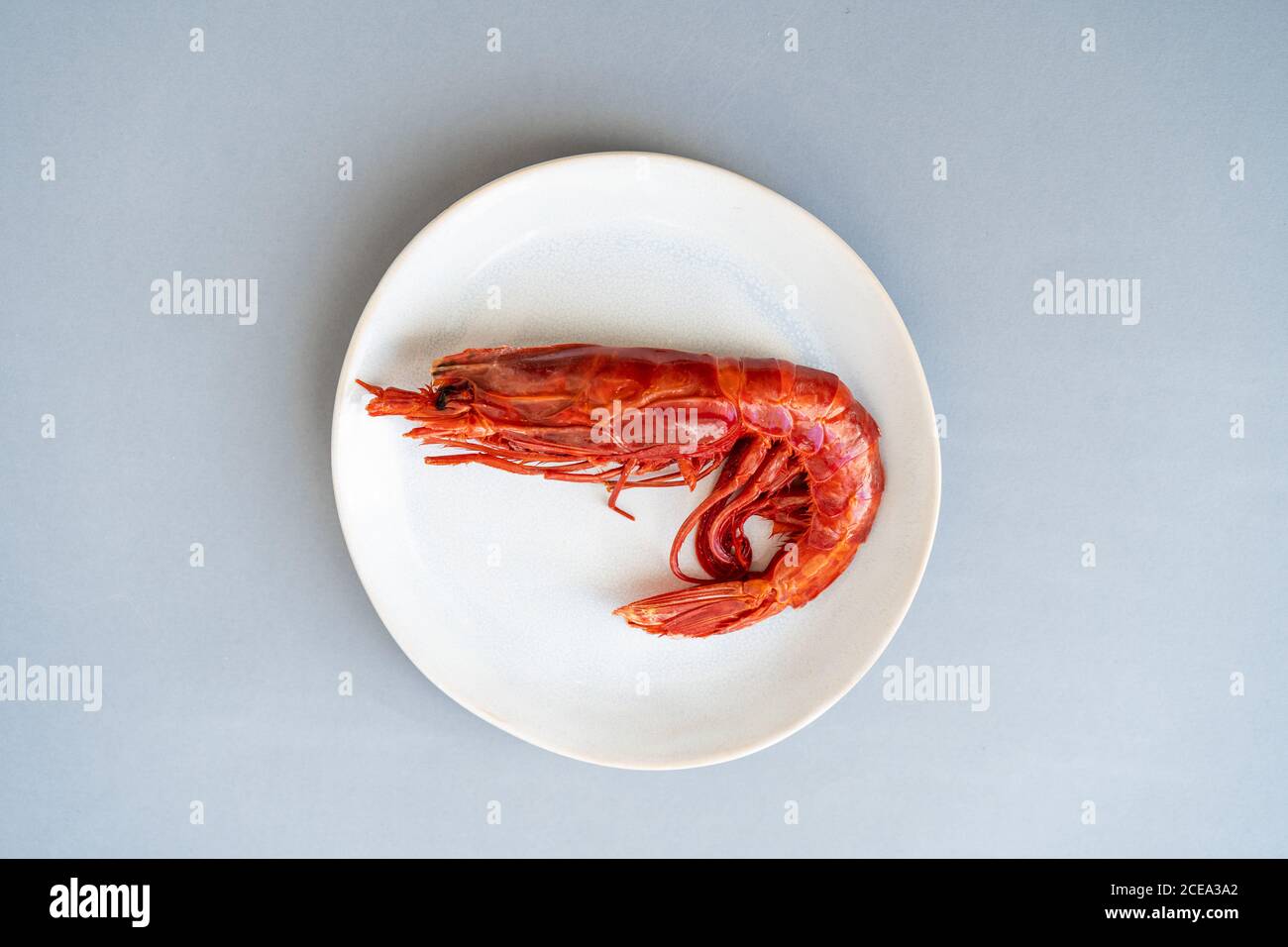 Prawn lying on ceramic plate on blue background Stock Photo - Alamy