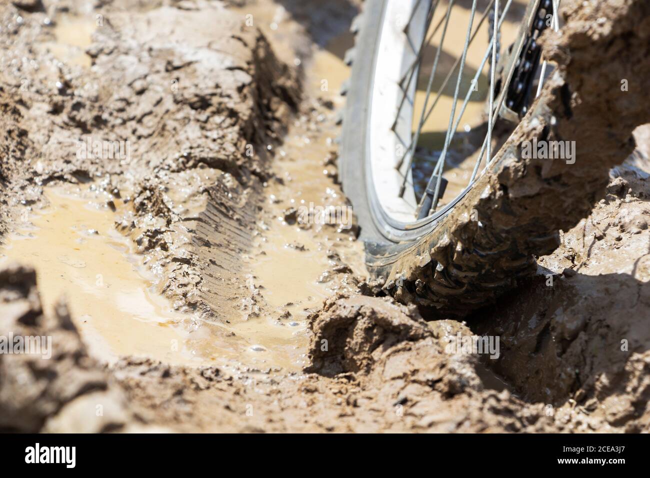 the Bicycle wheel is stuck in the mud. Close up Stock Photo - Alamy
