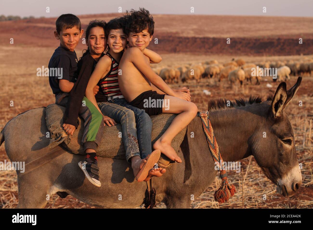 Children riding a donkey hi-res stock photography and images - Alamy