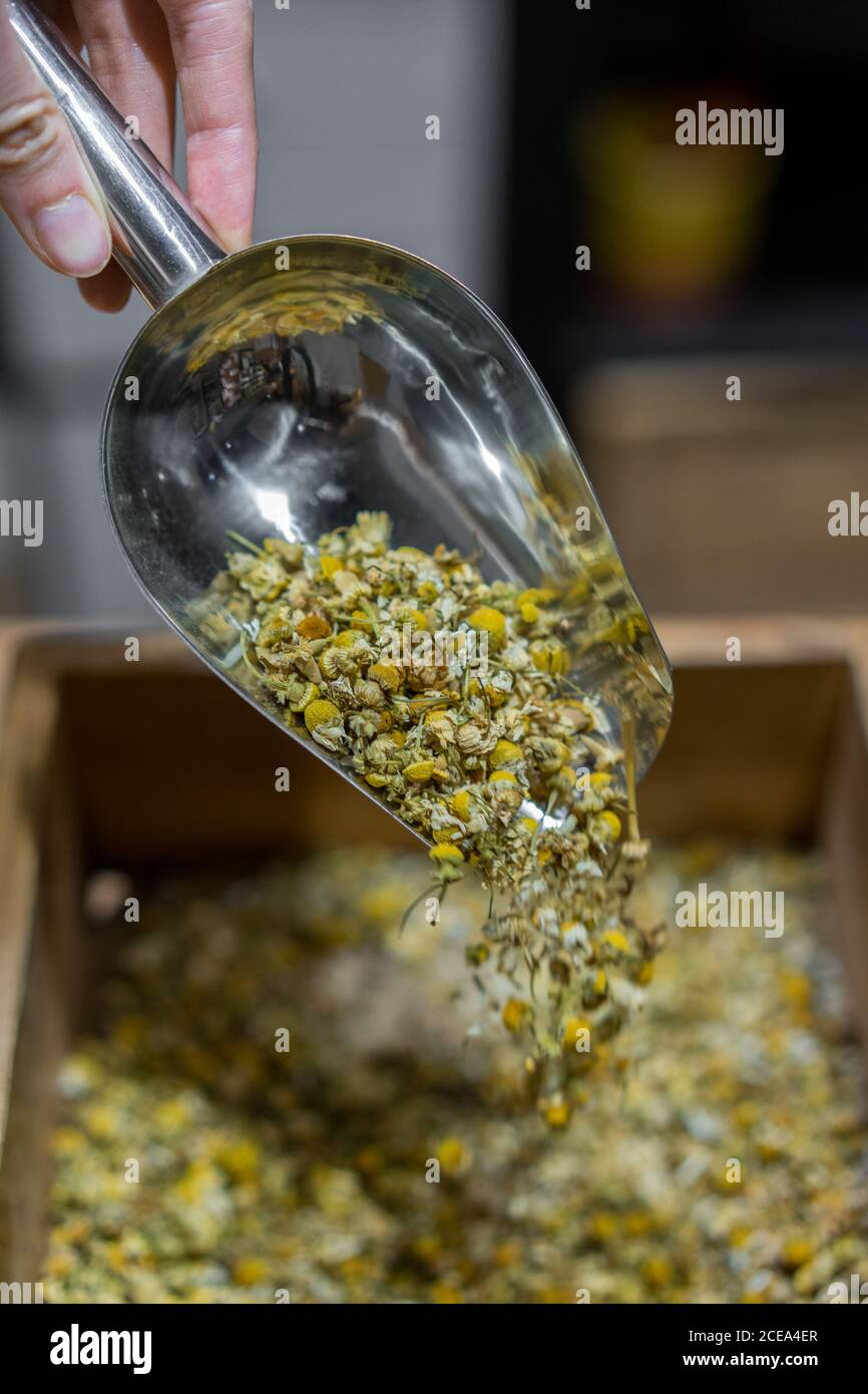 Crop hand throwing spice in box Stock Photo - Alamy