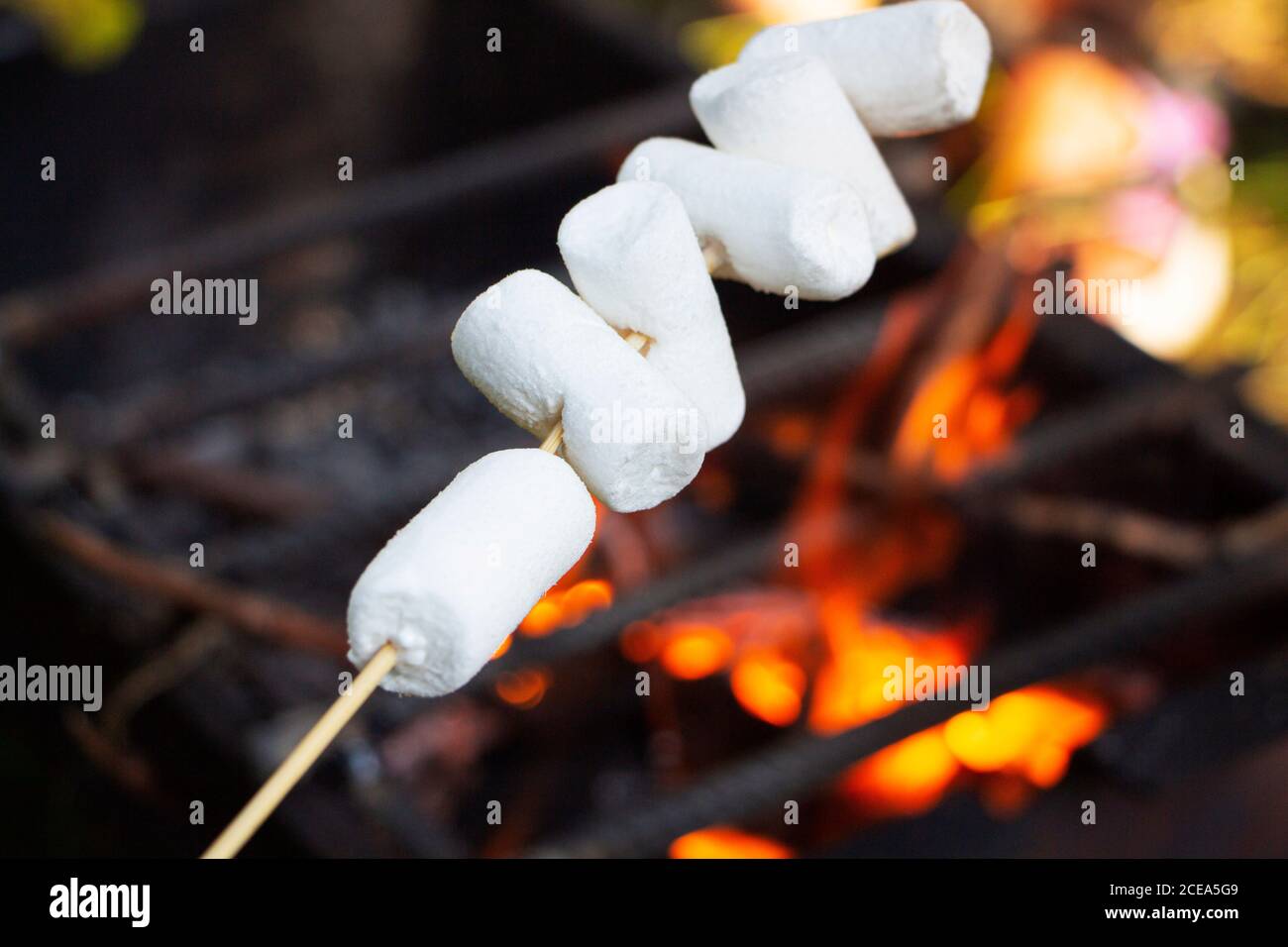 Roasting marshmallows campfire close up hi-res stock photography and ...