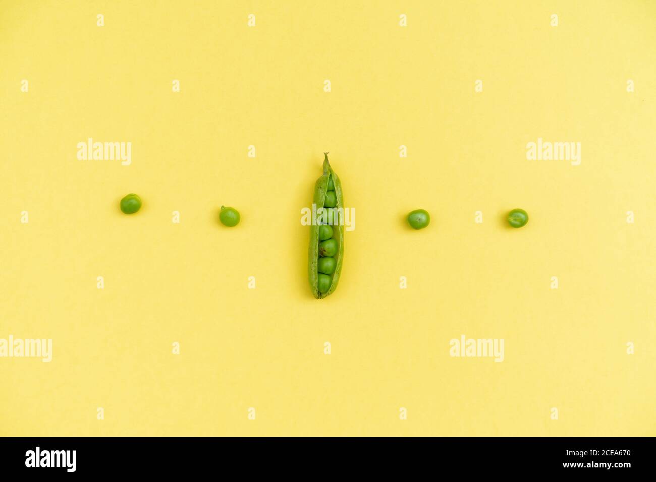 From above shot of opened pea pods and peas in row on light yellow ...