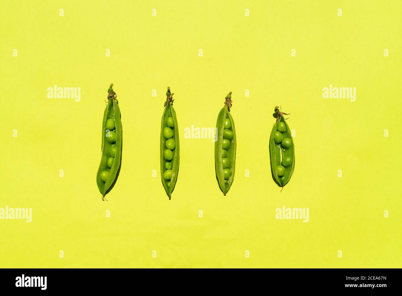 From above shot of opened green pods with big peas arranged no vivid ...