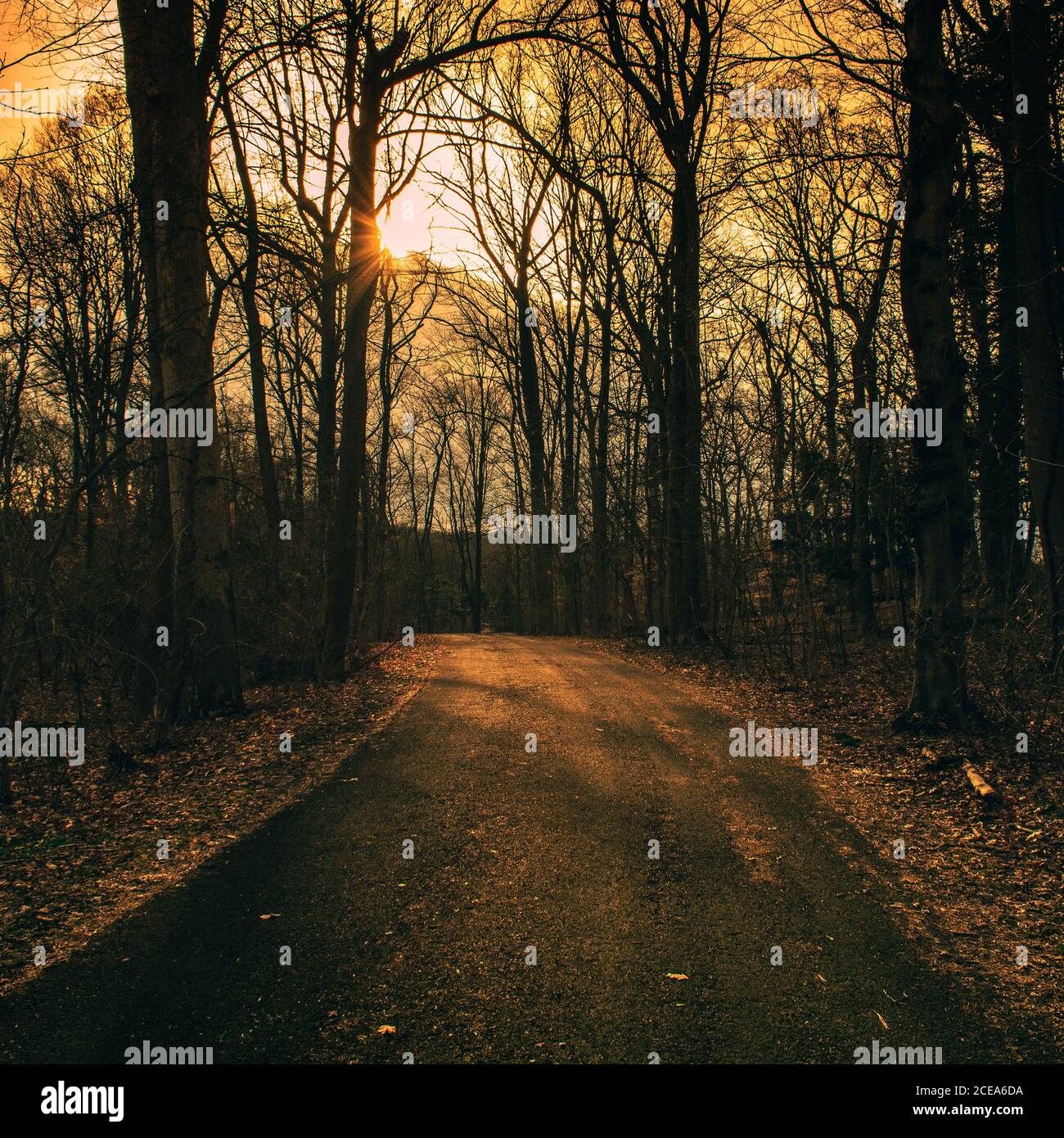 Blacktop road and walkway hi-res stock photography and images - Alamy