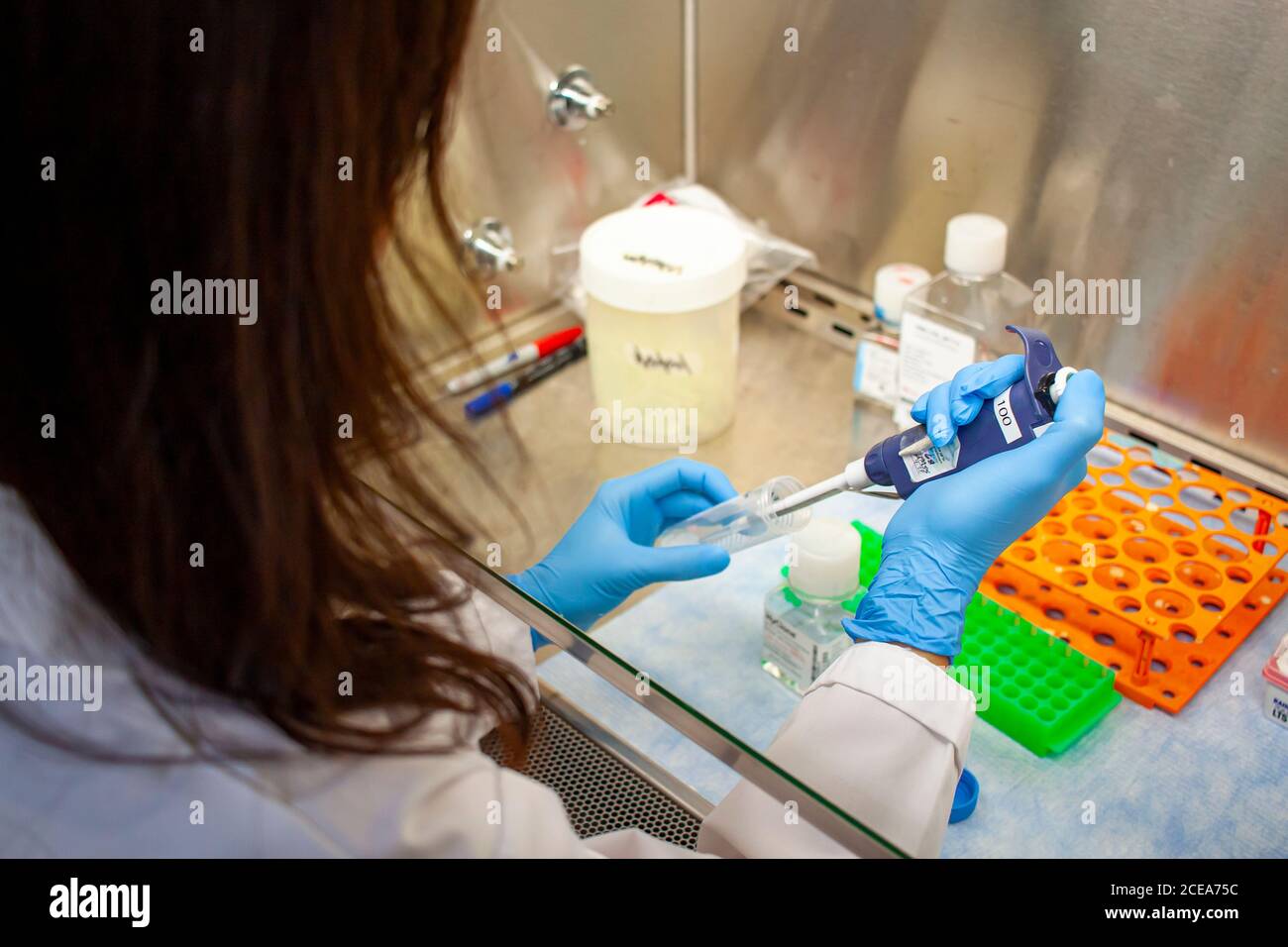 Biosafety cabinet hi-res stock photography and images - Alamy