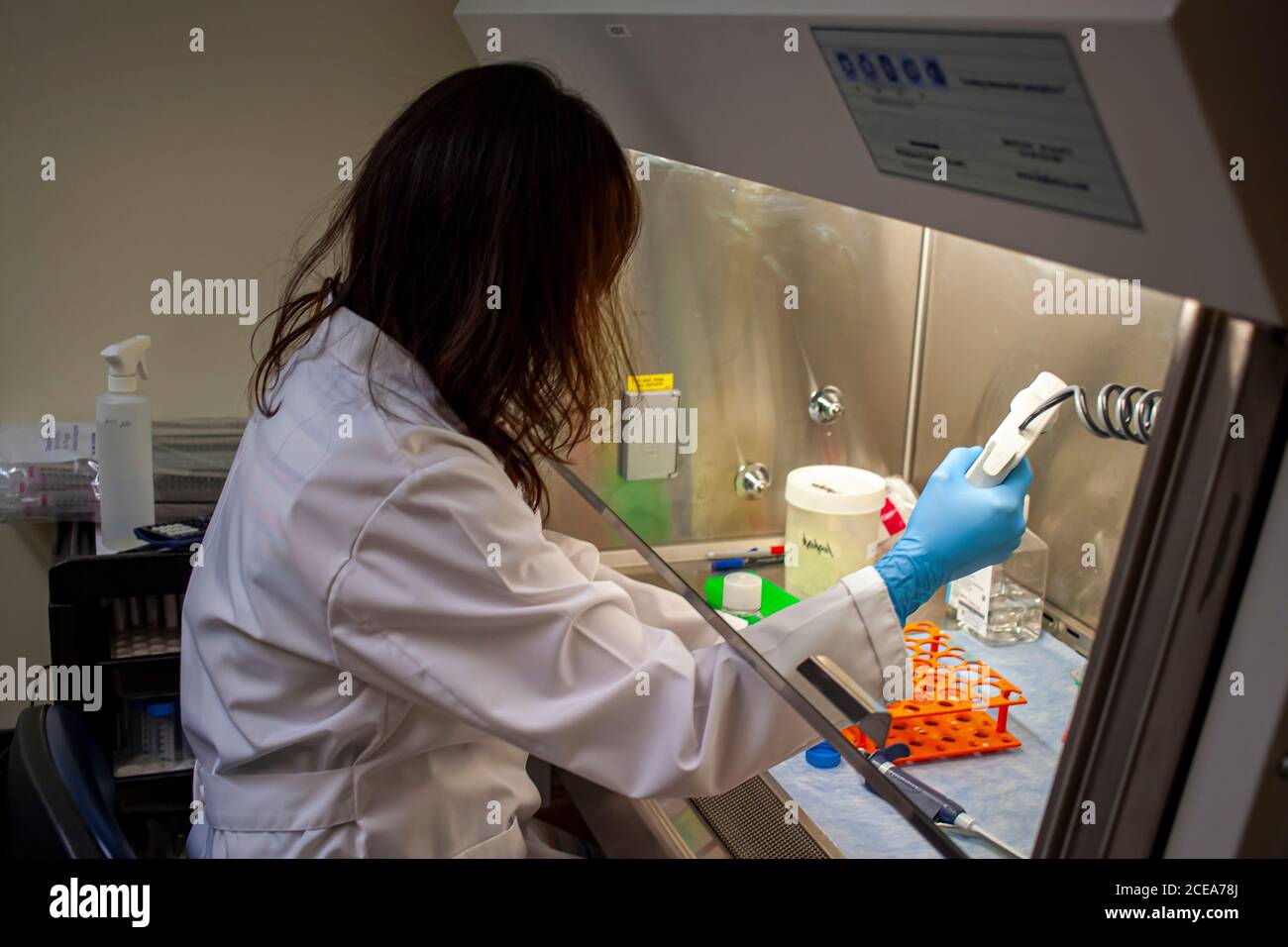 Biosafety cabinet hi-res stock photography and images - Alamy