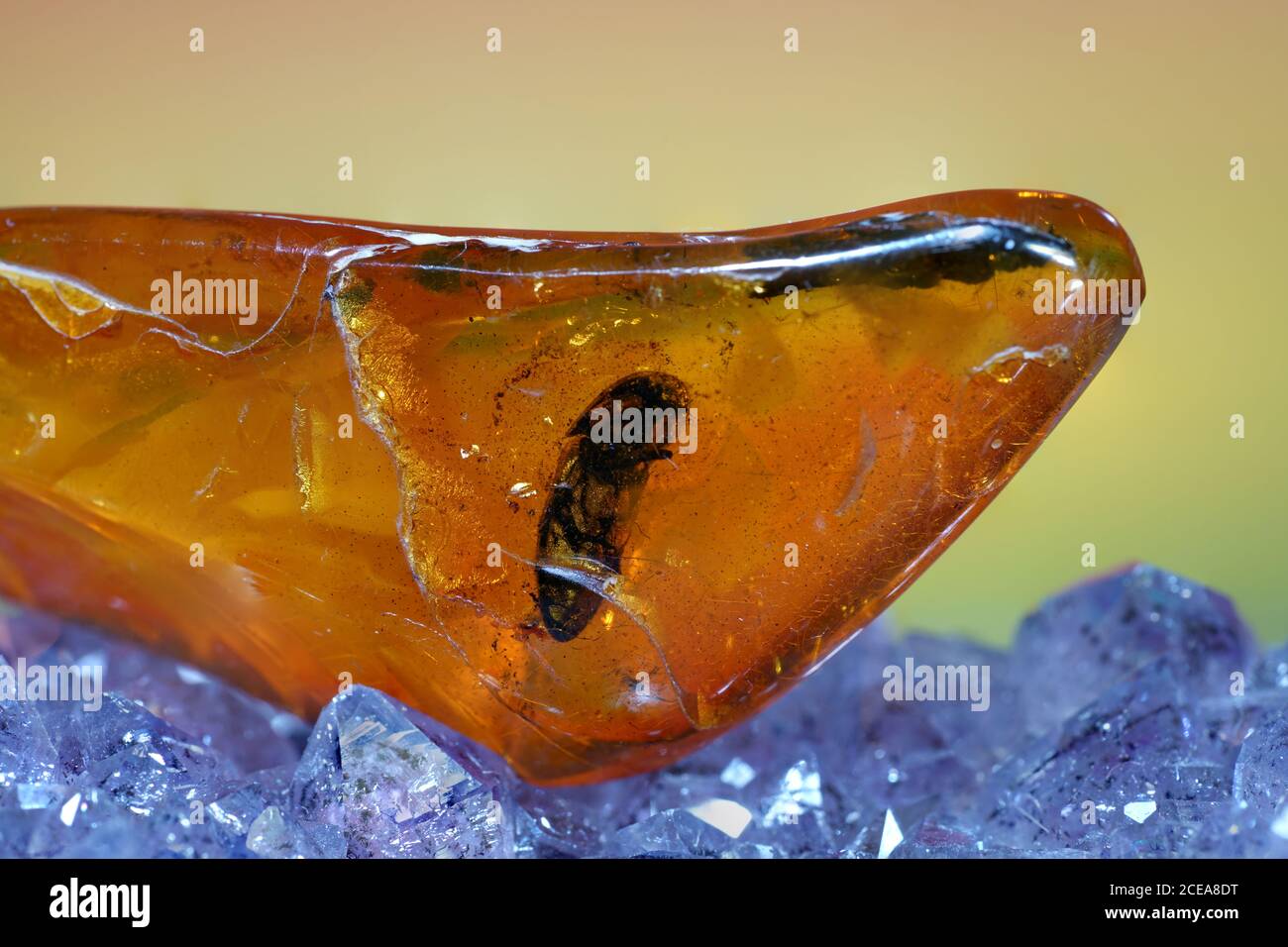 Amber stone hi-res stock photography and images - Alamy