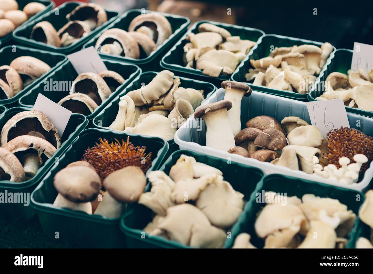 Different mushrooms in boxes Stock Photo - Alamy