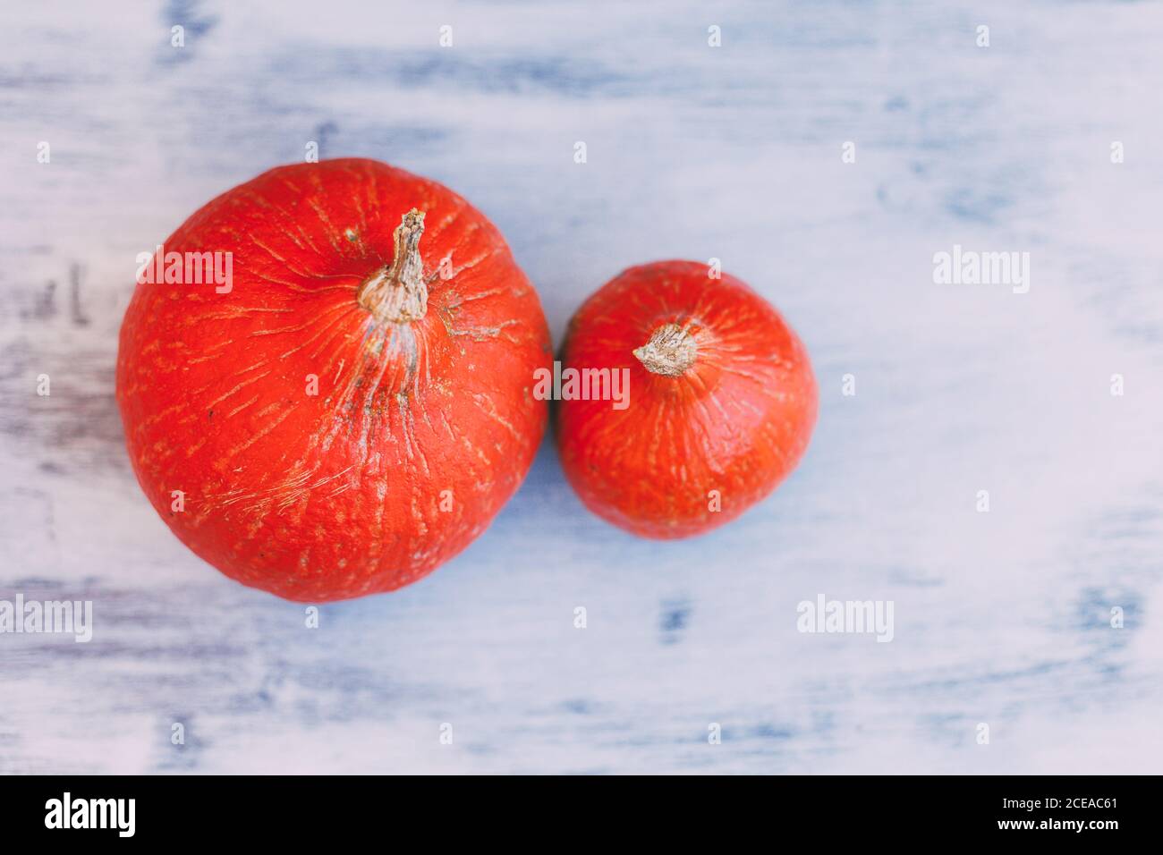 Kitchen pumpkins hi-res stock photography and images - Alamy
