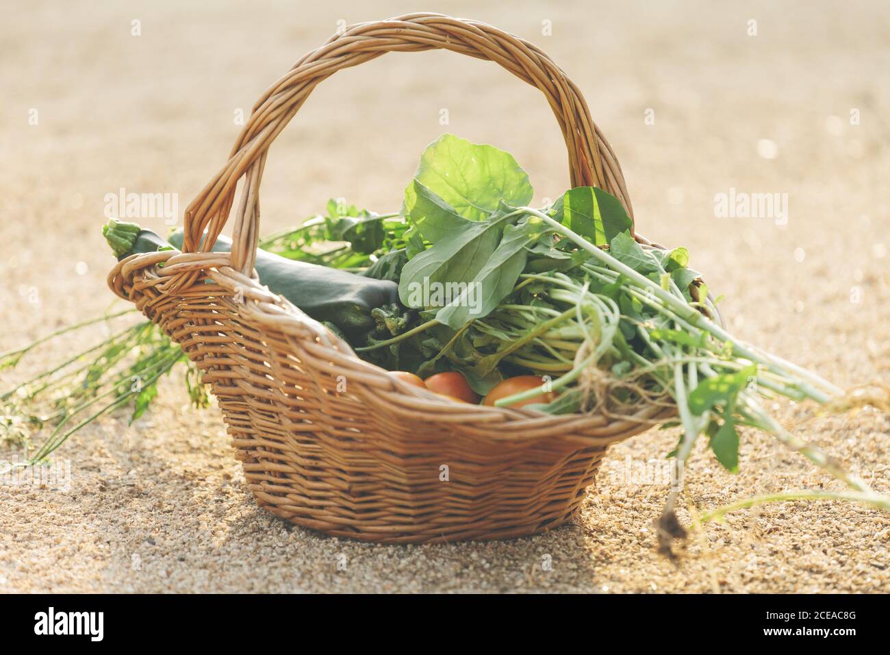 Vegetable hamper hi-res stock photography and images - Alamy