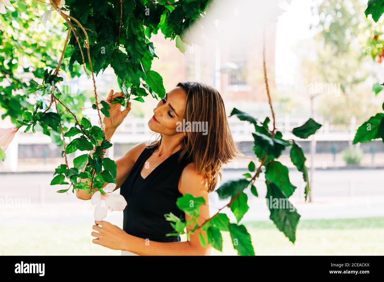 Woman standing at tree hi-res stock photography and images - Alamy