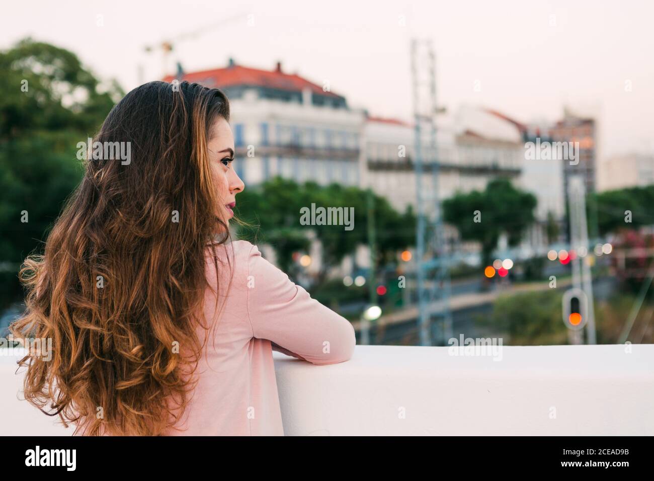 Side view attractive charming lady looking away on footbridge above ...