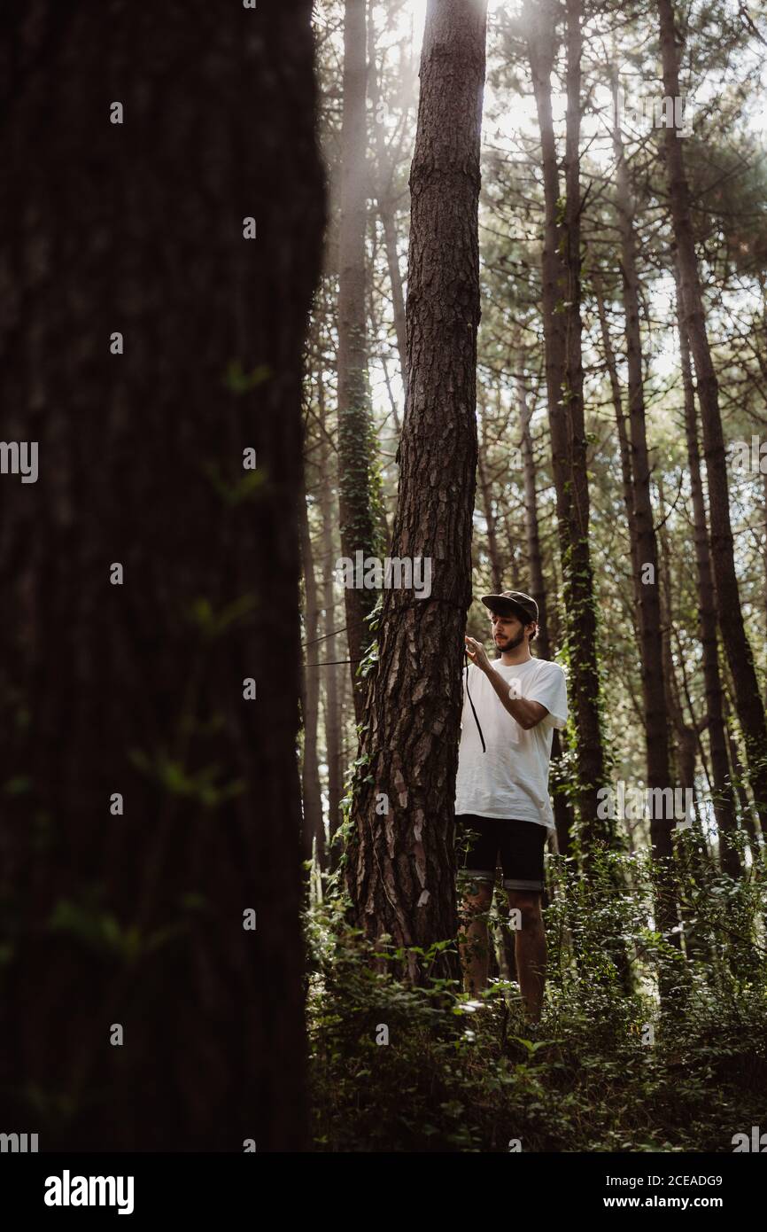 Tie tree hi-res stock photography and images - Alamy