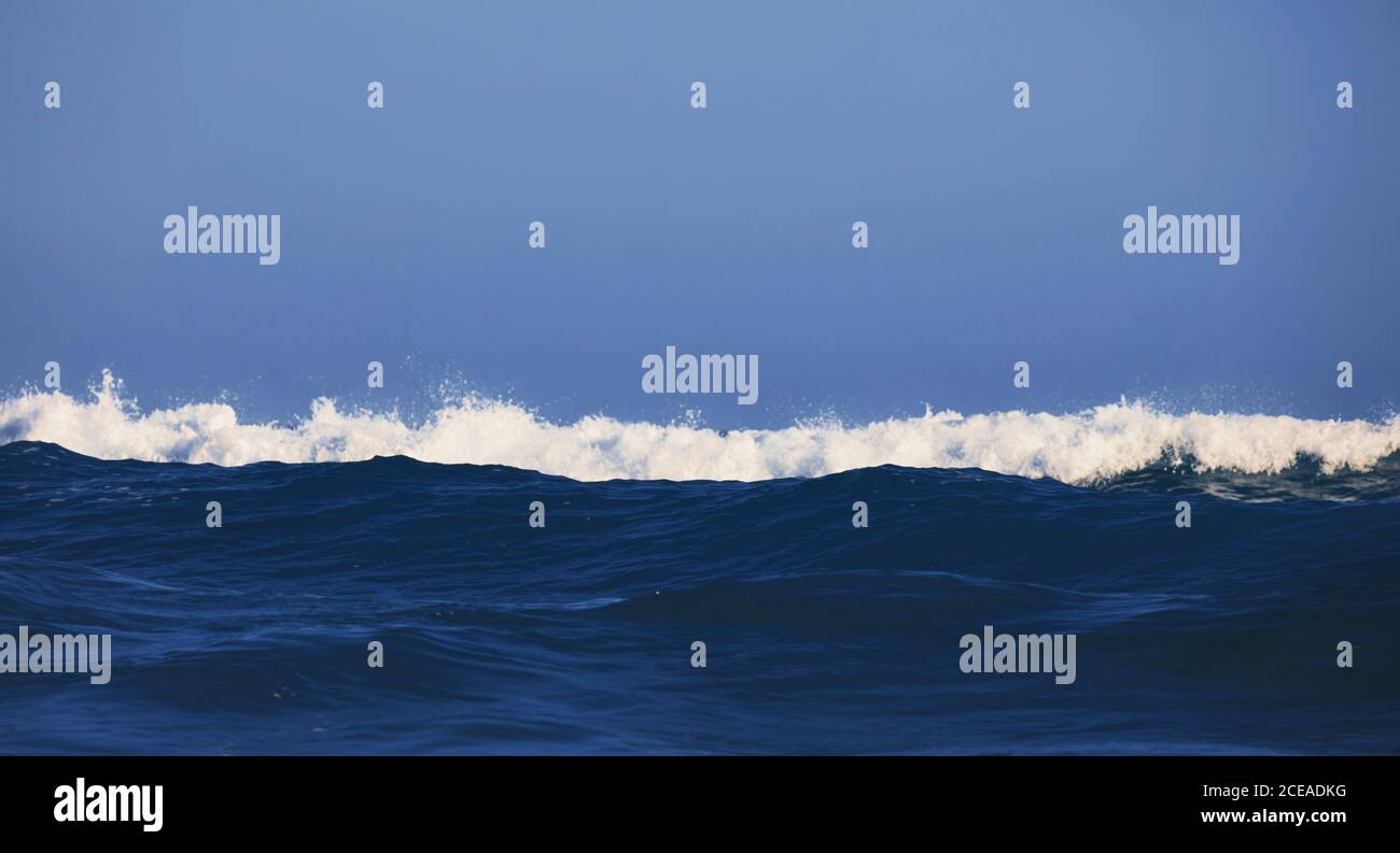 Professional activities hi-res stock photography and images - Alamy