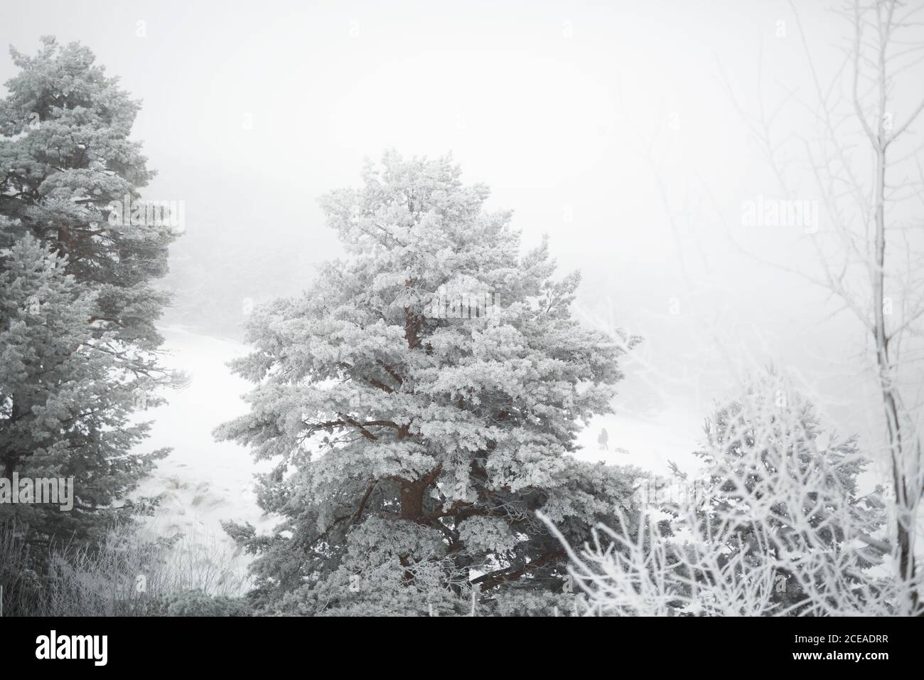 Winter in beautiful countryside Stock Photo - Alamy