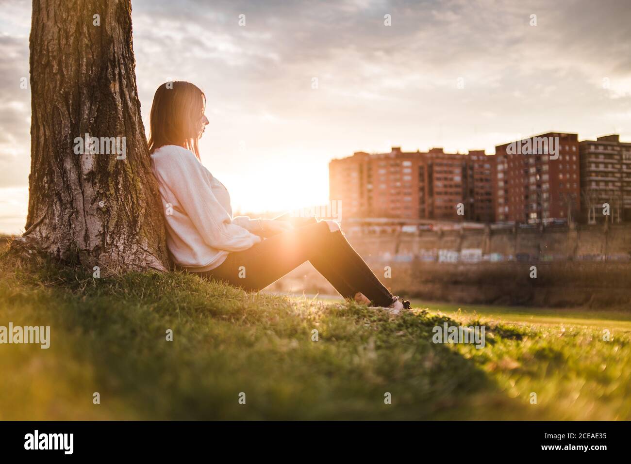 Woman under tree hi-res stock photography and images - Alamy