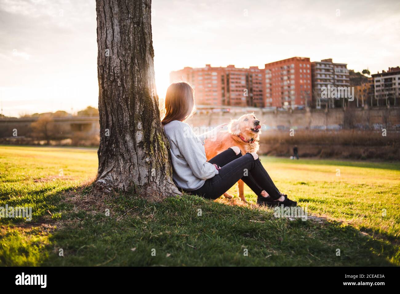 Woman under tree in sunlight Stock Photo - Alamy