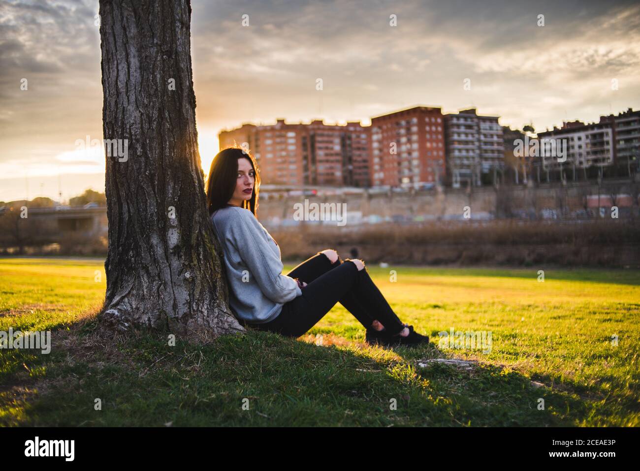 Woman under tree in sunlight Stock Photo - Alamy