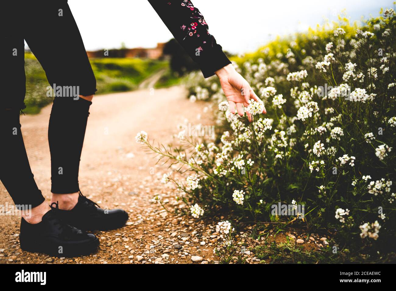 faceless shot of girl wearing black and bending to touch beautiful ...