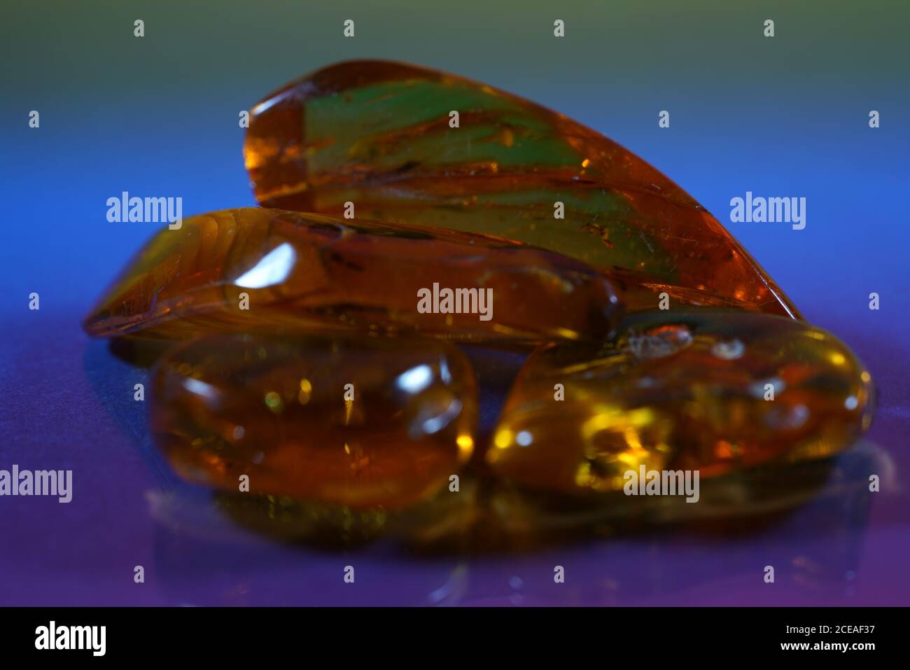 Insects trapped in amber hi-res stock photography and images - Alamy