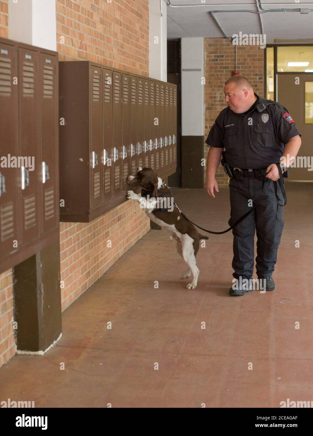Lockers and dog hi-res stock photography and images - Alamy