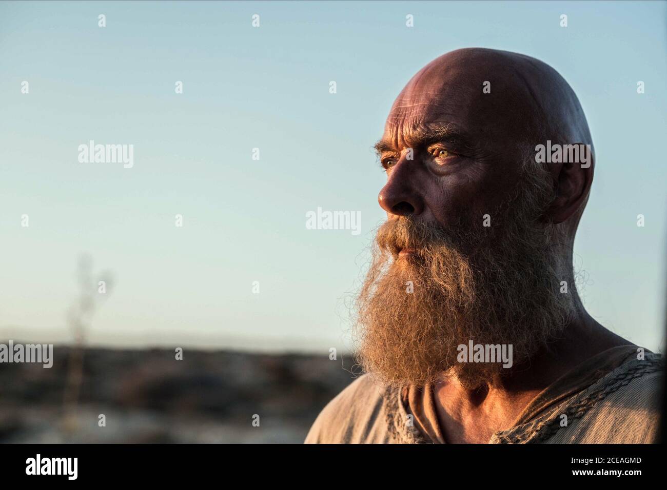 Paul Faulkner High Resolution Stock Photography and Images - Alamy