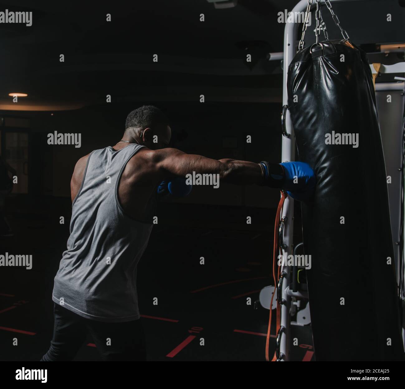 Side view handsome boxer hi-res stock photography and images - Alamy