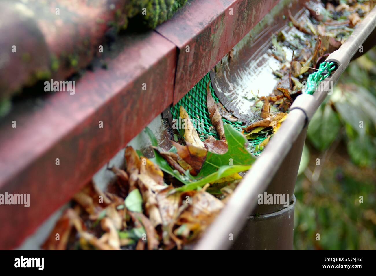 Plastic guard in gutter trough on a house roof. Anti leaves protection ...