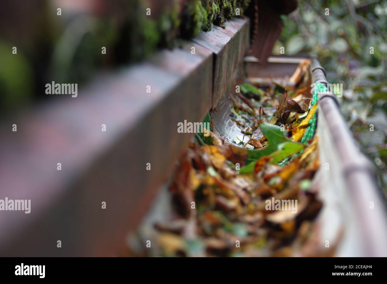 Plastic guard in gutter trough on a house roof. Anti leaves protection ...
