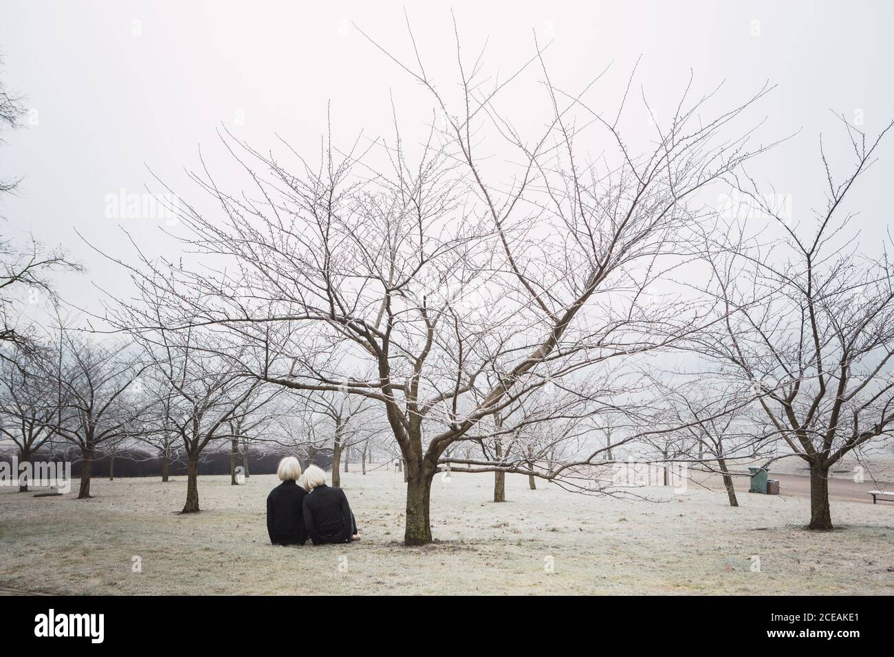 Ladies under wear hi-res stock photography and images - Alamy